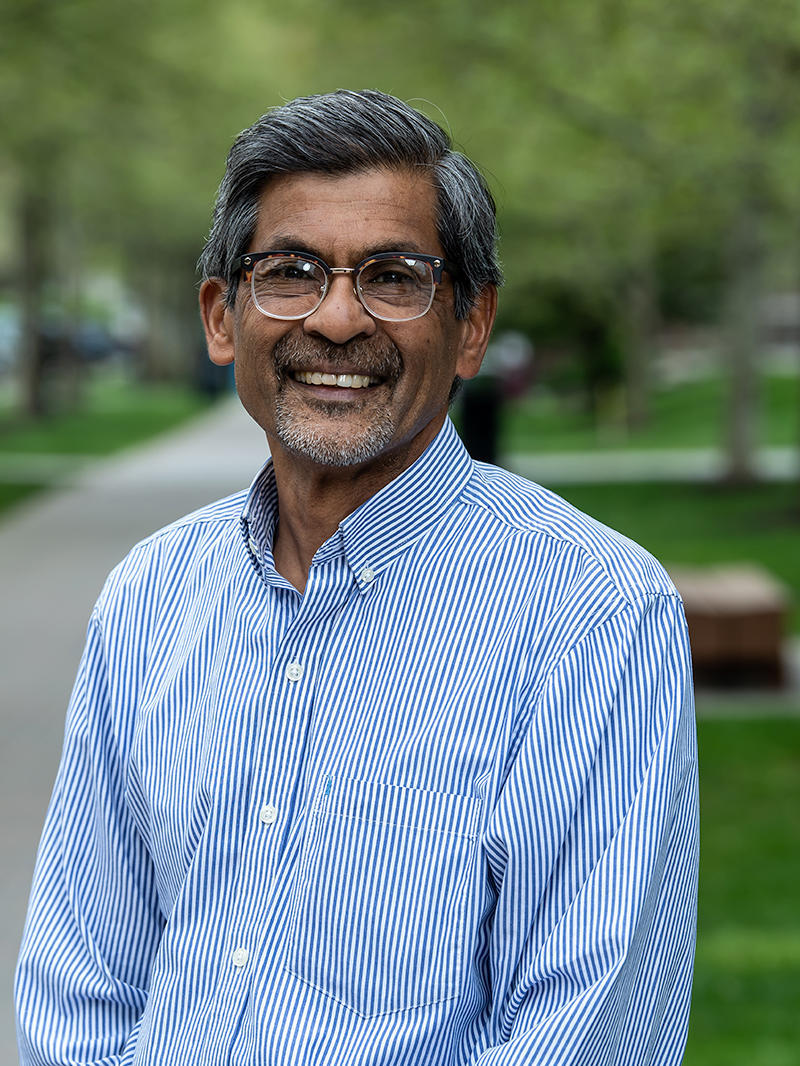 Anil P D'Mello | University Directory