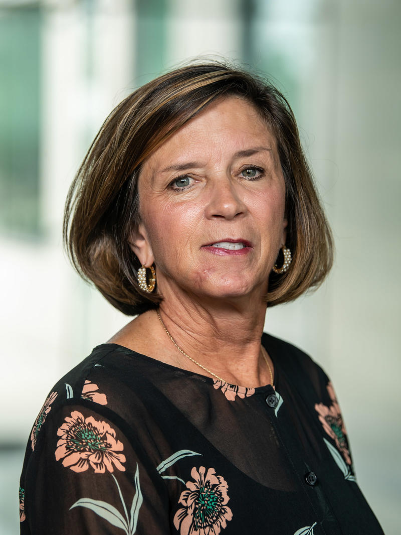 Lisa B Hansinger | University Directory